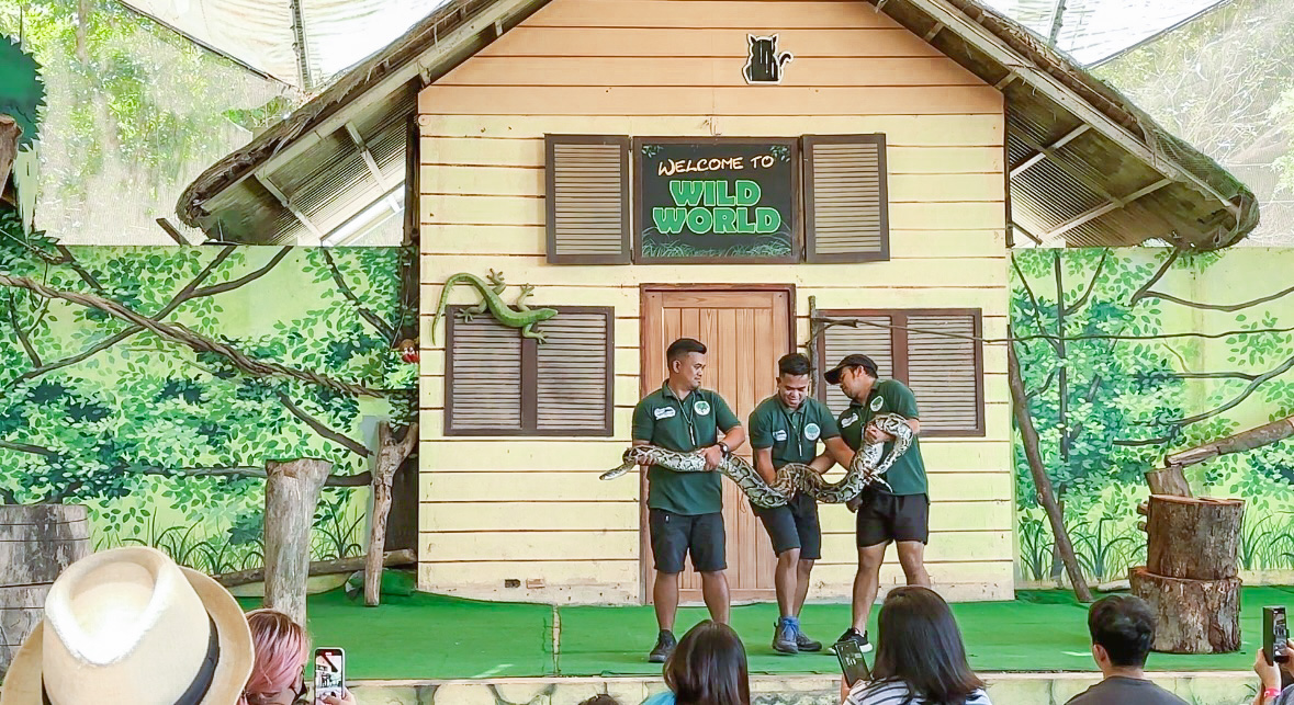 What to See and Do at Ocean Adventure in Subic? – Maria Ingrid